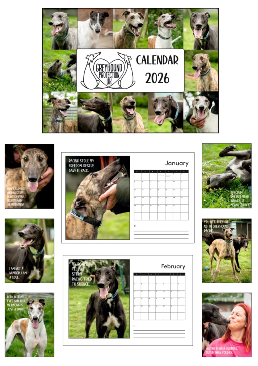 2026 Calendars | Greyhound Protection UK